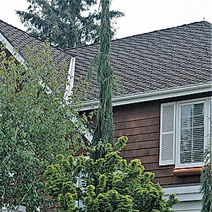 2815 Super Anchor Safety RetroFit Permanent Roof Anchor