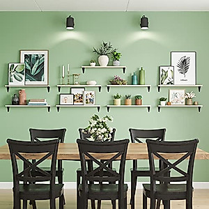 Wallniture Arras 24" Floating Shelves for Wall Storage, Wall Bookshelf Living Room Decor, Wall Shelves for Bedroom & Office, Kitchen Wall Shelf Set of 9, Natural, Wood