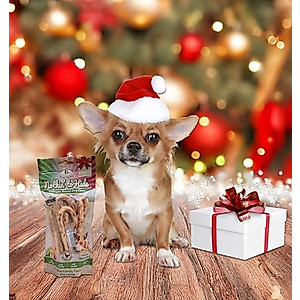 Fieldcrest Farms Nothin' to Hide Mini Holiday Candy Cane Chicken Flavor Dog Chews, Rawhide-Free, Easily Digestible, Long-Lasting, All-Natural Treats for Moderate Chewers up to 15lbs, 6-Ct