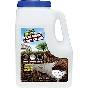 FOAMING Root Killer | 10 Pound| Kills Tree Roots in Pipes & Sewer Lines | Contains No Copper Sulfate