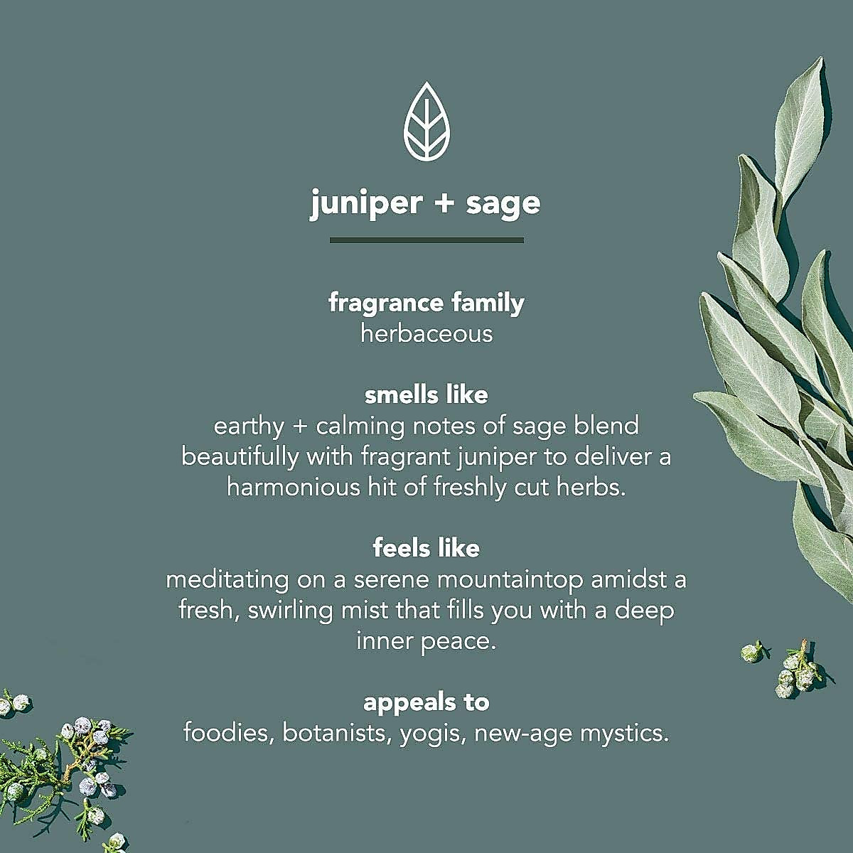 Method Men Body Wash, Juniper + Sage, Paraben and Phthalate Free, 18 FL Oz (Pack of 6)