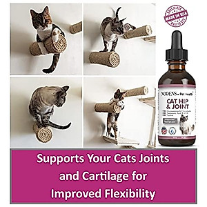 NODENS CAT Hip and Joint Glucosamine for Cats with Chondroitin and Opti-MSM® Hyaluronic Acid for Improved Joint Flexibility and Pain Relief from Inflammation and Cat Arthritis 2 floz