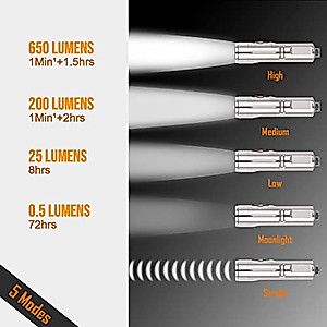 RovyVon A4 Pro Titanium Keychain Flashlight, Super Bright 650 Lumens Titanium Flashlight Powered by Rechargeable Battery, Premium EDC Flashlight for Household, Outdoor, and Festivals