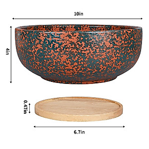 Fivepot 10 Inch Terracotta Succulent Planter Pot with Drainage Hole and Bamboo Tray Round Shallow Bonsai Pot for Indoor Plants