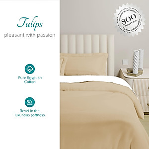 Carressa Linen 100% Egyptian Cotton Duvet Cover King Size - 800 Thread Count 3 PC Duvet Cover Set, Extra Long Staple Egyptian Cotton Quilt Cover, Soft, Breathable with Hidden Zipper Closure - Sand