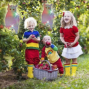 Dyvicl Fake Owl Hanging Reflective Owl for Woodpecker Deterrent 2 Pack