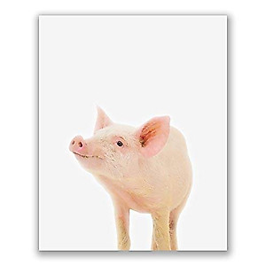 Baby Farm Animals Poster Prints - Set of 6 (8x10) Adorable Furry Barn Portraits Wall Art Nursery Decor - Calf (Cow) - Chick (Chicken) - Donkey - Foal (Horse) - Duckling (Duck) - Piglet (Pig)