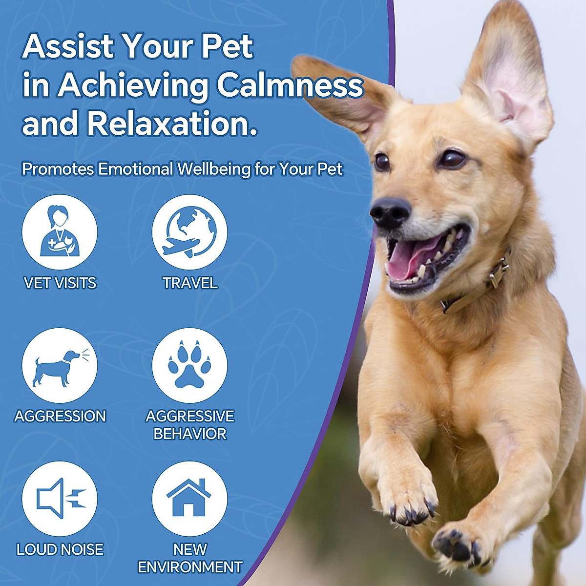 WEALLIN Hemp Oil for Dogs and Cats, Rich in Omega 3, 6, 9 and Organic Extract Helps Pets with Anxiety, Pain, Skin and Coat Health, Stress, Hip and Joint Support, Pet's Calming Treat (2 Pack)