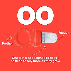 Baby Fruit Feeder by Love Noobs, Frozen Teething Toys for Babies, 2 Pack Baby Fruit Pacifier Feeder with 4 Extra Teats, Baby Eating Essentials, Frozen Teether, BPA Free Baby Feeding Supplies