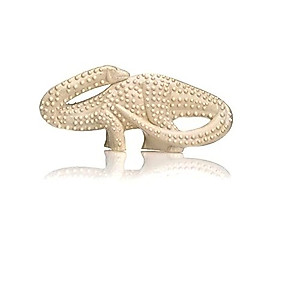 NB Durable Dental Dinosaur Textured Dog Chew Toy Stagosaurus Brontosaurus Set of 2 (One -Two Pack)