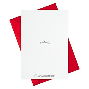 Hallmark Birthday Cards Assortment, 16 Cards with Envelopes (Make a Wish)