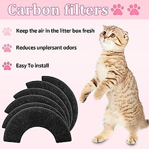6 Pcs Replacement Carbon Filters Compatible with Litter-Robot 4 - Self Cleaning Cat Litter Box Filter Replacement to Eliminate odor and Control Cat Body Moisture