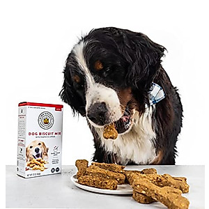 King Arthur Baking Company Dog Biscuit Mix, Pumpkin & Apple, Homemade Dog Treats, 12oz