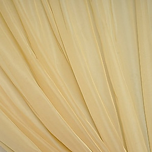 BalsaCircle 10 feet x 10 feet Champagne Sheer Voile Backdrop Drapes Curtains 2 Panels 5x10 ft - Wedding Ceremony Home Decorations