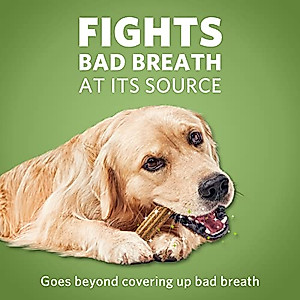 Purina DentaLife Large Dog Dental Chews; ActivFresh Daily Oral Care - (2) 30 ct. Pouches