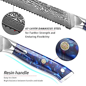 SANMUZUO Chef Cooking Knives Set- Kitchen Knife Set of 5 Piece - Ultra-Sharp VG10 Damascus Steel & Resin Handle - Xuan Series (Sapphire Blue)