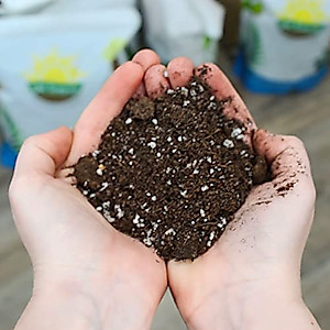 Citrus Tree Potting Soil Mix (8 Quarts), Special Blend for Indoor Oranges, Lemons, Limes and More
