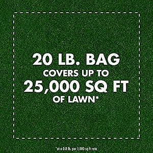 SpectracideTriazicide Insect Killer for Lawns Granules 20 lb, 1-PK