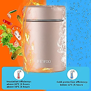 FEWOO Soup Thermos,Food Container for Hot Cold Food, Vacuum Insulated Stainless Steel Lunch Box for Kids Adult,Leak Proof Food Jar for School Office Picnic Travel Outdoors (Champaign Golden 13.5 oz)