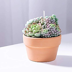 Assorted Succulent Pot Scented Candle for Spa Home Decoration Wedding Gift