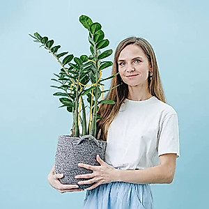 4 Pcs Small Metal Trellis for Potted Plants, 14in Mini Plant Trellis for Climbing Plants Indoor, Gold Plant Trellis Plant Support Stakes for Indoor Small Flowerpot, Garden Potted Plant