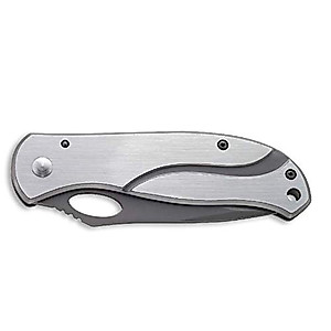 Columbia River Knife & Tool - 9001317 CRKT Pazoda 2 EDC Folding Pocket Knife: Compact Everyday Carry, Gray Ti Nitride Blade, Thumb Slot, Locking Liner, Stainless Handle, Pocket Clip 6470