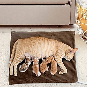 NAMOTEK Pet Heating Pad, Safe Electric Heating Pad for Dogs and Cats Indoor Warming Pad with Auto Constant Temperature