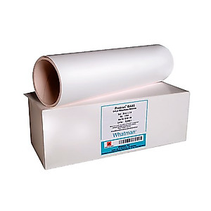 Whatman 10402506 Protran BA85 Nitrocellulose Blotting Membrane, Circle, 0.45µm Pore Size, 25mm Diameter (Pack of 100)