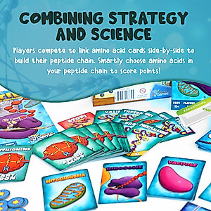 Genius Games Peptide: A Protein Building Game | A Strategy Card Game with Accurate Science for Gamers and Teachers | Teaches Amino Acids, mRNA, Organelles