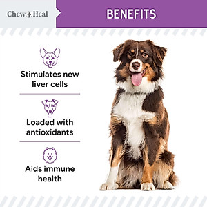 Milk Thistle for Dogs Liver Support - 2 oz Liquid Milk Thistle Supplement for Kidney and Liver Support - with Wild Alaskan Salmon Oil and Moringa Oil - Made in USA