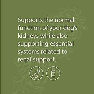 Standard Process - Canine Renal Support - Kidney Health for Dogs - 30 Grams