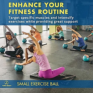 ProBody Pilates Ball Small Exercise Ball, 9 Inch Barre Ball, Mini Soft Yoga Ball, Workout Ball for Stability, Barre, Ab, Core, Physio and Physical Therapy Ball at Home Gym & Office (Aqua)