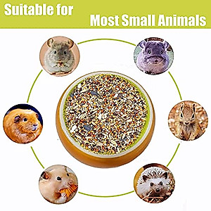 Bangminda 3Pcs Hamster Bowl Ceramic Small Animal Water Bowl Prevent Tipping Anti-Bite Ceramic Feeding Bowls for Guinea Pig Gerbil Ferret Syrian Hamster Chinchilla Rat Hedgehog Bunny