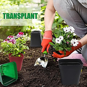 RooTrimmer 120-Pack 2.7"x2.7" Square Plastic Nursery Pot 3" Deep Succulent Pots Small Flower Planter Seeds Starter Pots with Drainage (Green,Black,Red 40pcs Each)