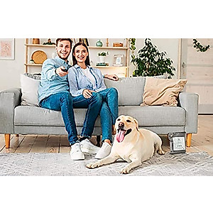 Adhara Sky 12 Pack Bamboo Charcoal Air Purifying Bag, Activated charcoal Bags Odor Absorber, Odor Eliminator for Home, Car, Office, Closet & House Deodorizer (6X200g,2X100g,4X50g,6 Hooks & Strings)