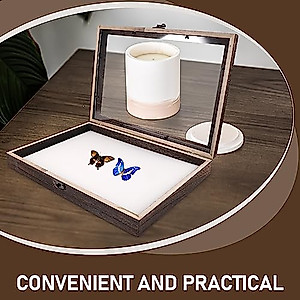 Cabilock Insect Display Case Wooden Bug Collection Box with Clear EVA Top Insect Shadow Box Insect Specimen Storage Box for Home