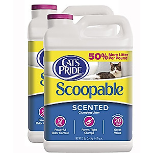 Cat's Pride Scoopable Scented Lightweight Clumping Litter 12 lb Jug (2-Pack)