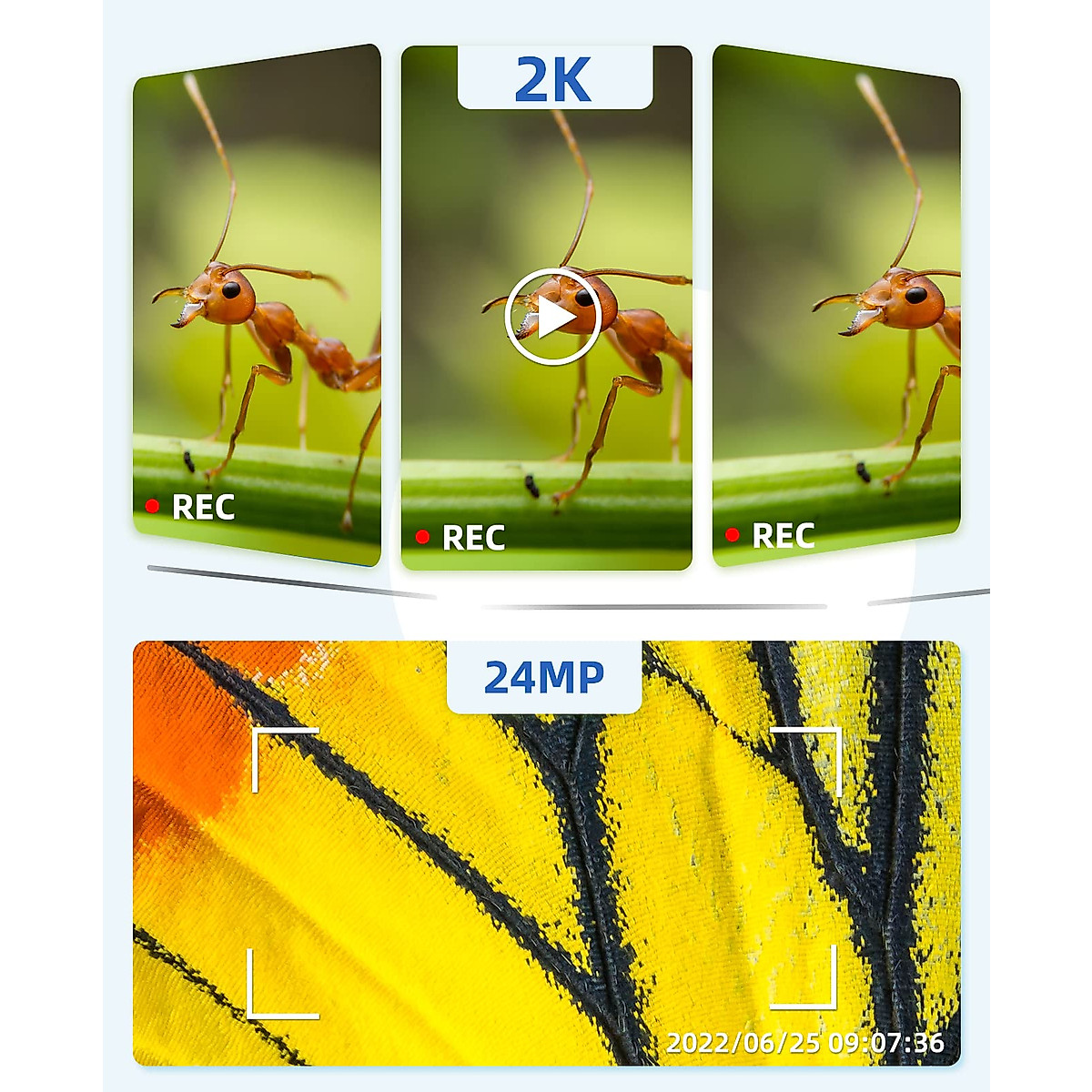 TOMLOV DM401 2K Digital Microscope 1200x, HDMI LCD Microscope with Screen, Extension Tube Included for Entire Coin View,24MP Soldering Microscope with Lights,Windows/iOS Compatible