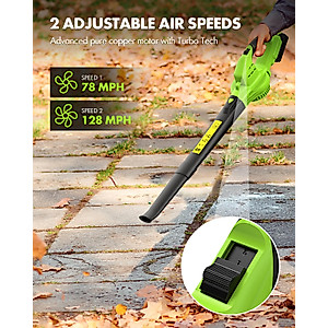 Leaf Blower Cordless with Battery and Charger - Anykit Electric Leaf Blowers Battery Operated, Lightweight 20V 2 Speed Modes Handheld Blower for Lawn Care Green
