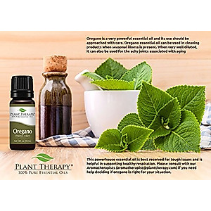 Plant Therapy Oregano Essential Oil 100% Pure, Undiluted, Natural Aromatherapy, Therapeutic Grade 10 mL (1/3 oz)