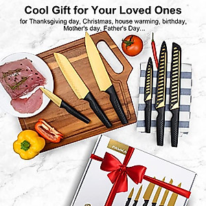 FASAKA Knives Set for Kitchen, Chef Knife Set, Kitchen Knife Sets, 6Pcs Titanium Coated Golden High Carbon Steel Made Kitchen Knives & 6Pcs Knife Sheaths with Gift Box, House Warming Gift