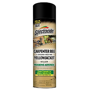 Spectracide Carpenter Bee and Ground Nesting Yellow Jacket Foaming Aerosol, 16-Ounce