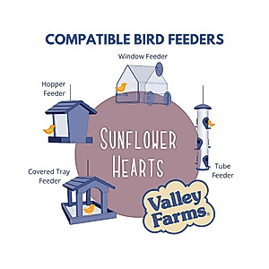 Valley Farms Whole Sunflower Hearts for Birds - A no Waste Bird Seed - No Mess Bird Seed for Outside Feeders, Tray or Tube Feeders - Sunflower Seeds for Wild Birds 40 LBS