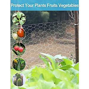 16in x 82ft Chicken Wire, TOYPOPOR 40cm x 25m Poultry Wire Netting Hexagonal Galvanized Mesh Garden Fence Barrier for Pet Rabbit Chicken Fencing (16In x 82FT)