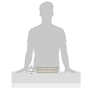 Eppicotispai 48 Holes Aluminum Square Ravioli Maker with Rolling Pin