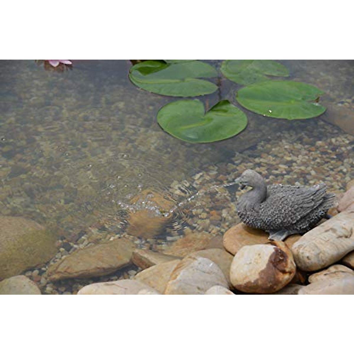 ECO-WORTHY Solar Fountain Water Pump Kit, 124 GPH Brushless Submersible Powered Pump with 5 W Solar Panel for Bird Bath, Small Pond, Garden Decoration, Pool, Patio, Lawn……