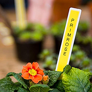 Brother Genuine P-Touch TZe-631S Economy Label Tape, Standard Laminated P-Touch Tape, Black on Yellow, Perfect for Indoor or Outdoor Use, Water Resistant, (4M), Single-Pack