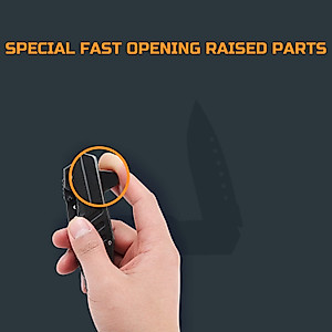 Lichamp Tactical Folding Pocket Knife for Men, 6-Pack Flip Knife Spring Assisted Opening, Sharp Pocket Knife with Clip for Camping, Hunting, Hiking, Indoor and Outdoor Activities