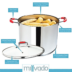 Millvado Stock Pot, 6 Quart Stainless Steel Pot, StockPot With Clear Glass Lid, Steam Hole, Permanent Measurement Markings, Gas, Electric and Induction Compatible Boiling Pot