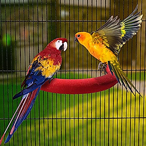 FrgKbTm Parrot Perch Stand, U Shape Quartz Sands Bird Stick Paw Grinding Rough-surfaced Large Bird Perches for Parakeets,Macaw,Parrots Cages Toy (Red Large)